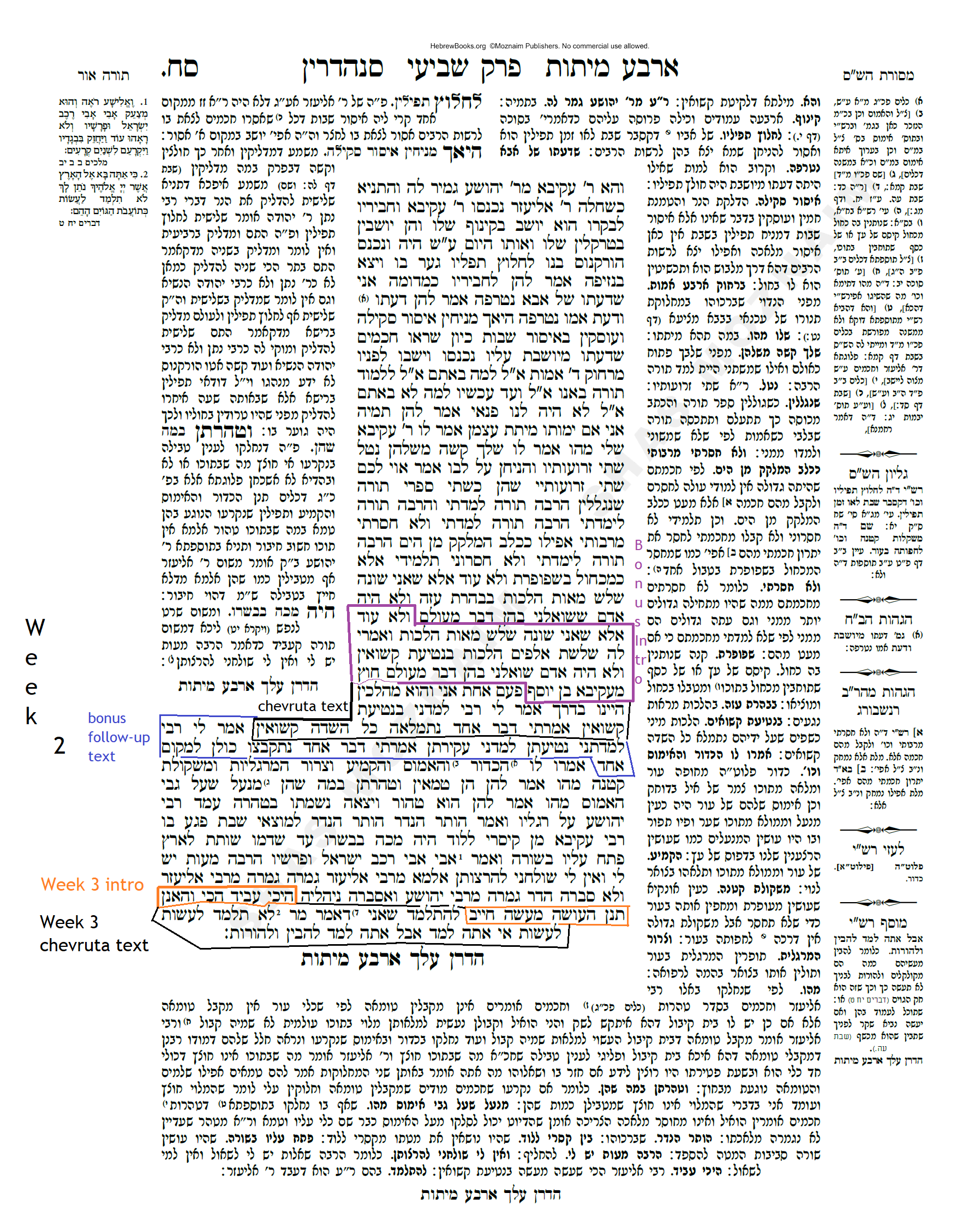 SVARA-Style Learning – Talmud Magic with Olivia Devorah